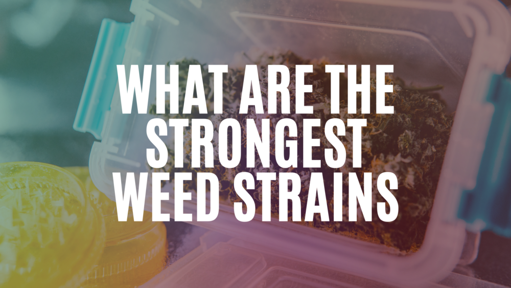 What are the Strongest Weed Strains - Moonrock Canada